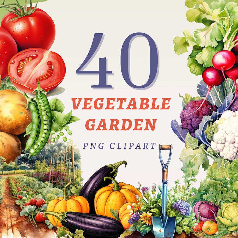 Vegetable Watercolor - Etsy