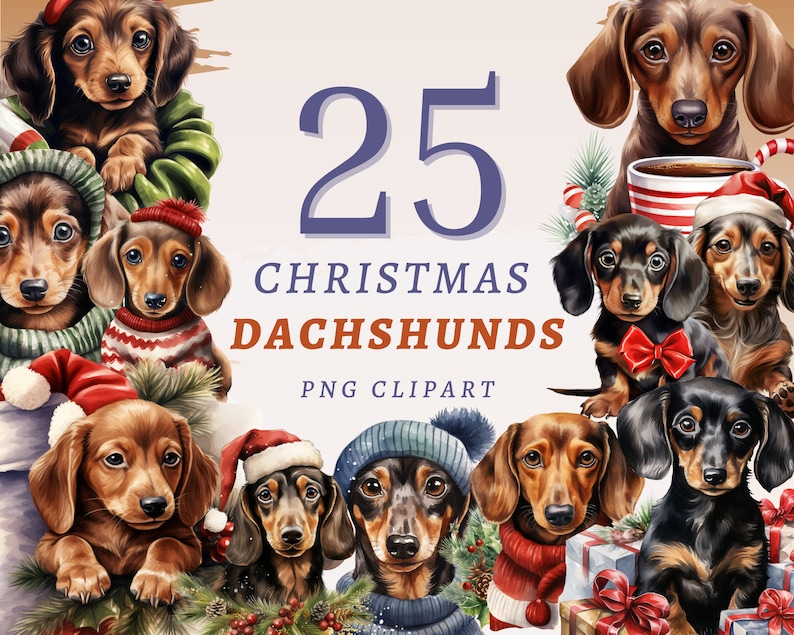 25 Christmas Dachshunds Clipart, High Quality Transparent Pngs, Instant ...