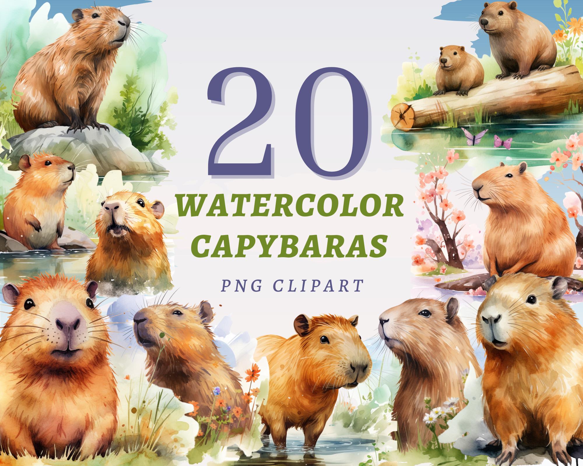 20 Watercolor Capybaras Clipart, High Quality Transparent Pngs, Instant ...