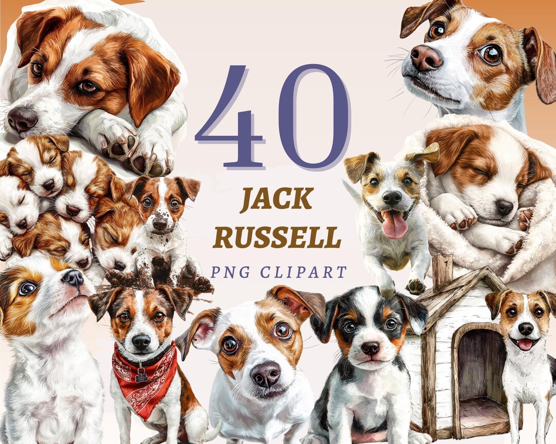 40 Jack Russell Clipart, High Quality Transparent Pngs, Instant ...