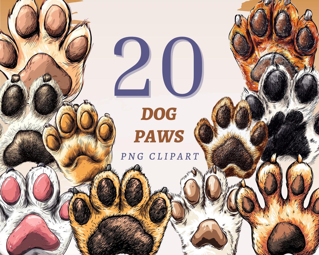 20 Dog Paws Clipart, High Quality Transparent Pngs, Instant Download ...