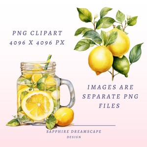50 Watercolor Lemon Clipart, High Quality Transparent Pngs, Instant ...