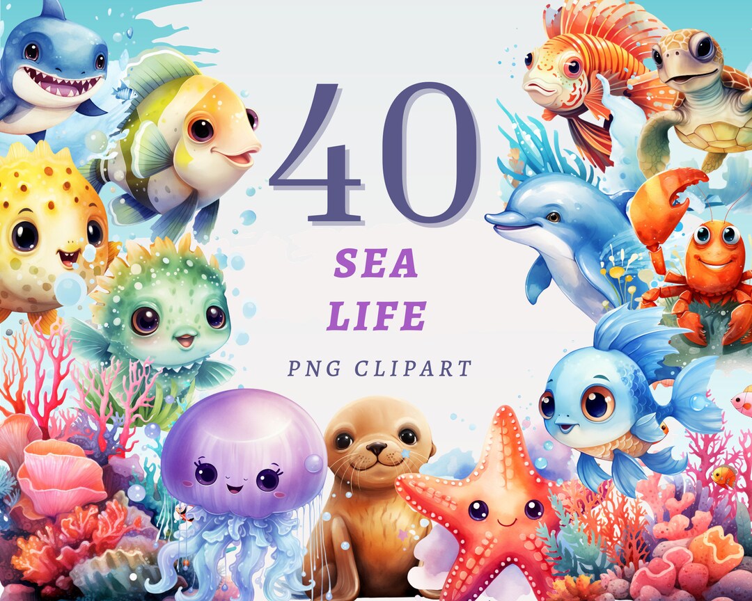 40 Sea Life Clipart, High Quality Transparent Pngs, Instant Download ...