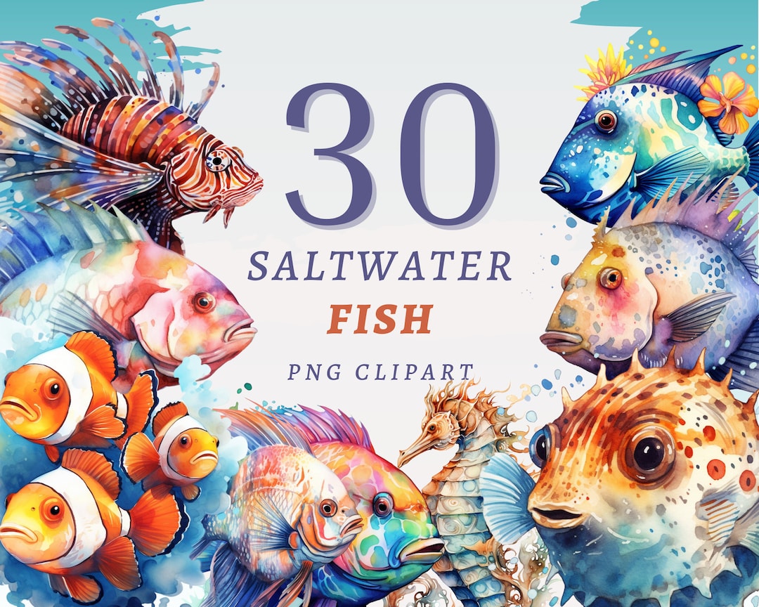 30 Saltwater Fish Clipart, High Quality Transparent Pngs, Instant ...