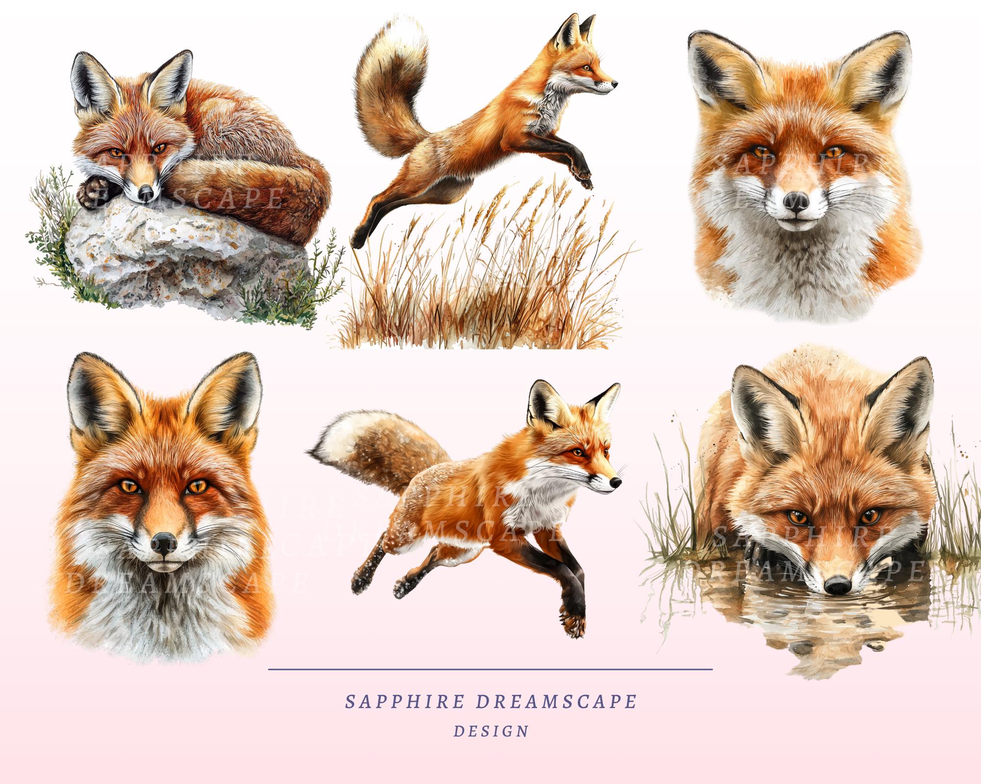 25 Red Fox Clipart, High Quality Transparent Pngs, Instant Download ...