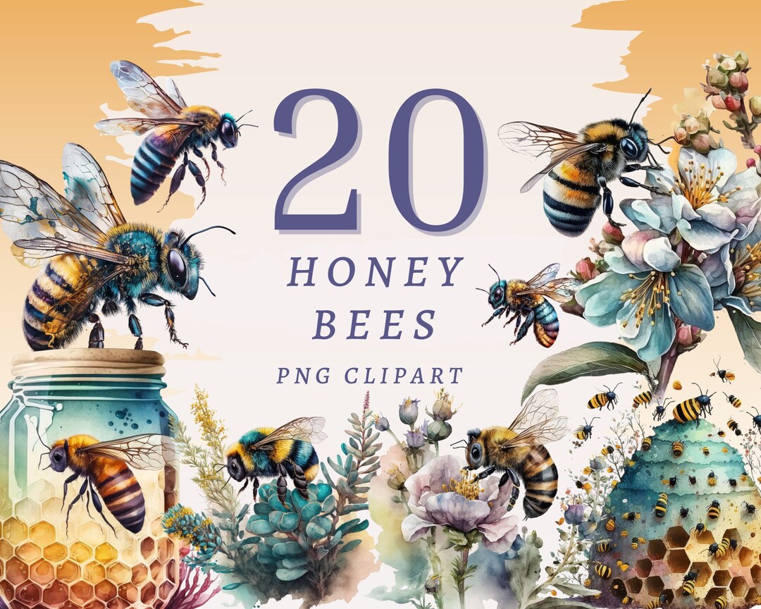 20 Honey Bees Clipart, High Quality Transparent Pngs With Instant ...