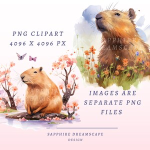 20 Watercolor Capybaras Clipart, High Quality Transparent Pngs, Instant ...