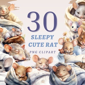 30 Sleepy Cute Rat Clipart, High Quality Transparent Pngs, Instant ...