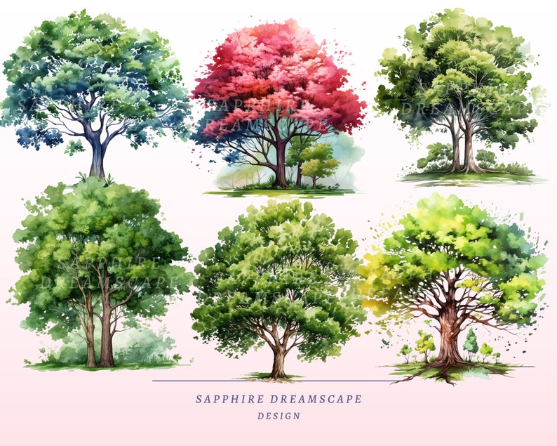 25 Summer Trees Clipart, High Quality Transparent Pngs, Instant ...
