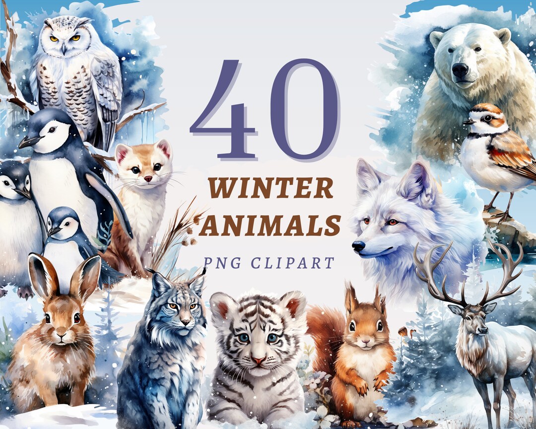 40 Winter Animals Clipart, High Quality Transparent Pngs, Instant ...
