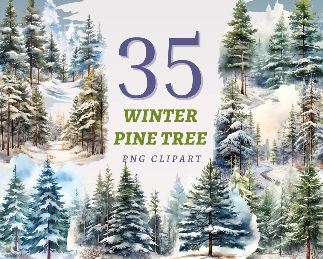 35 Winter Pine Tree Clipart, High Quality Transparent Pngs, Instant ...