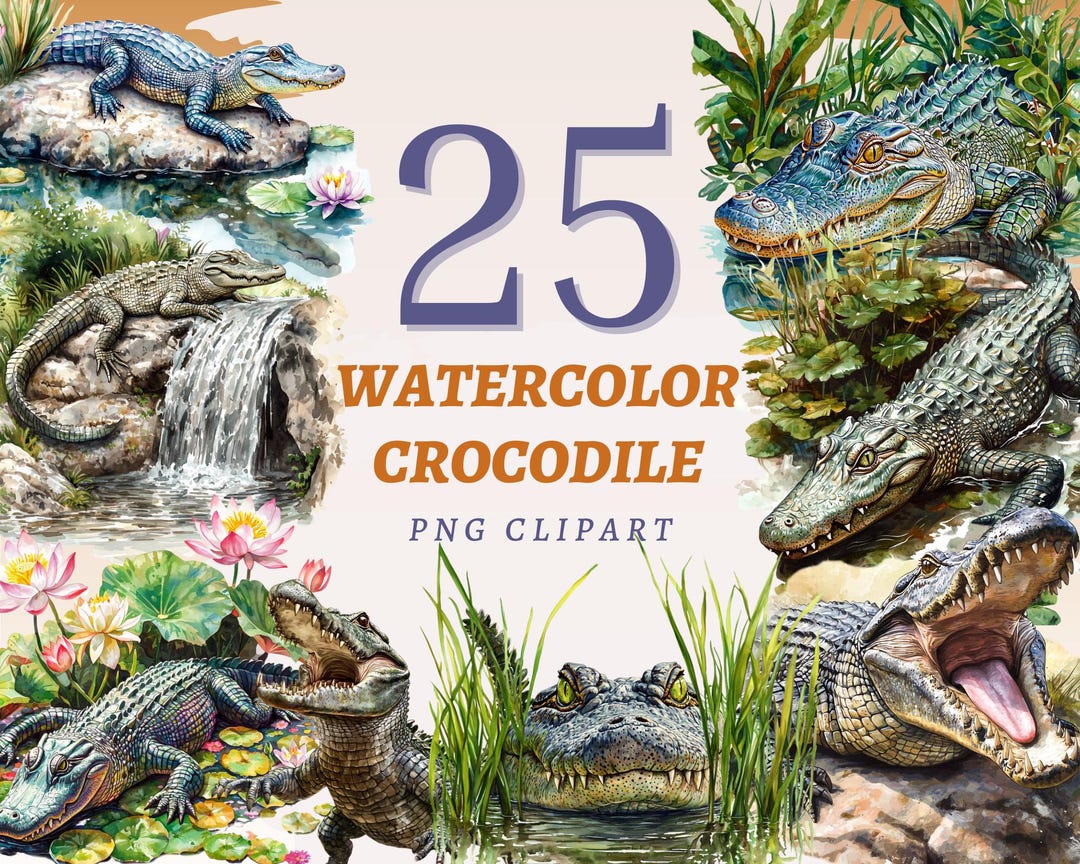 25 Watercolor Crocodiles Clipart, High Quality Transparent Pngs ...