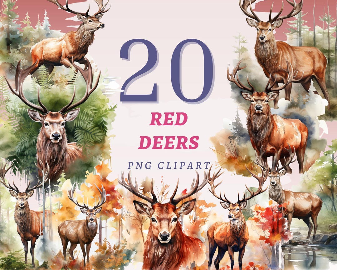 20 Red Deer Clipart, High Quality Transparent Pngs, Instant Download ...