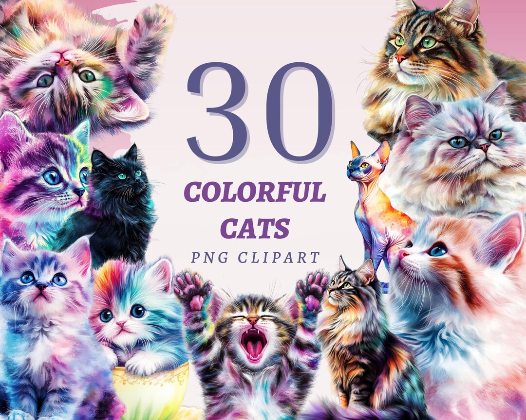 30 Colorful Cats Clipart PNG Set Watercolor Kitten Illustrations ...