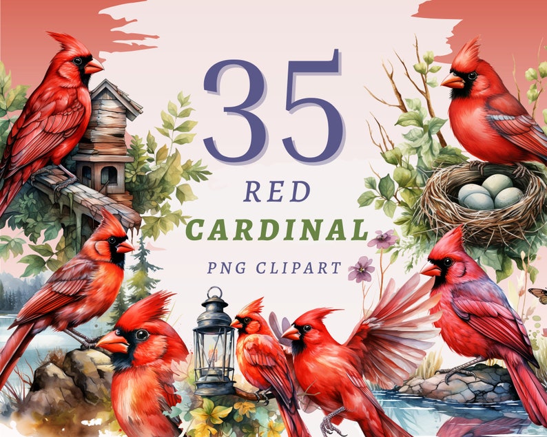 35 Red Cardinal Clipart, High Quality Transparent Pngs, Instant ...