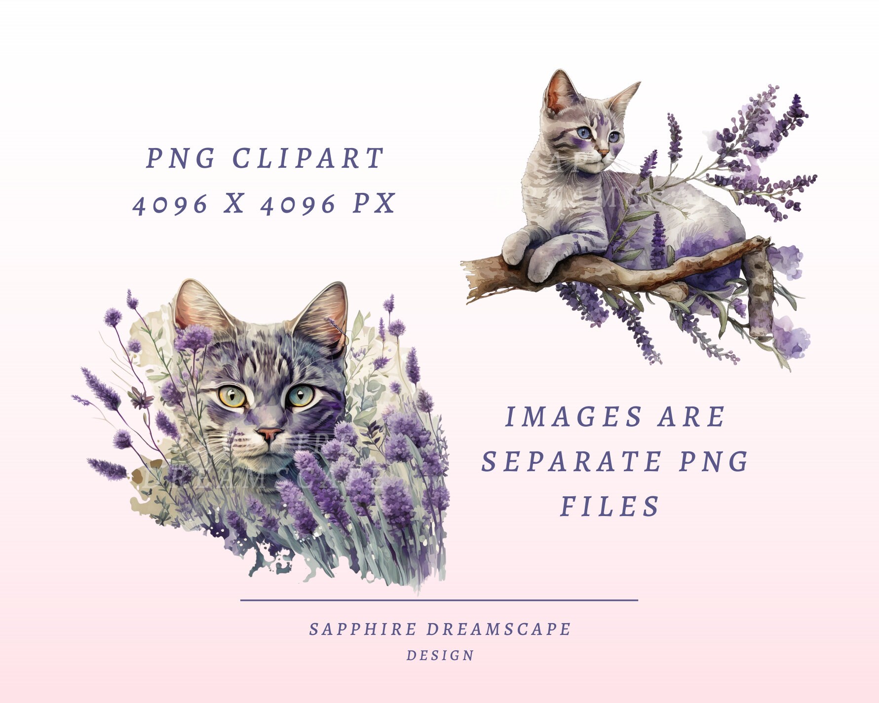 20 Lavender Cats Clipart High Quality Transparent Pngs With - Etsy
