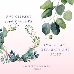 40 Watercolor Eucalyptus Clipart, High Quality Transparent Pngs ...
