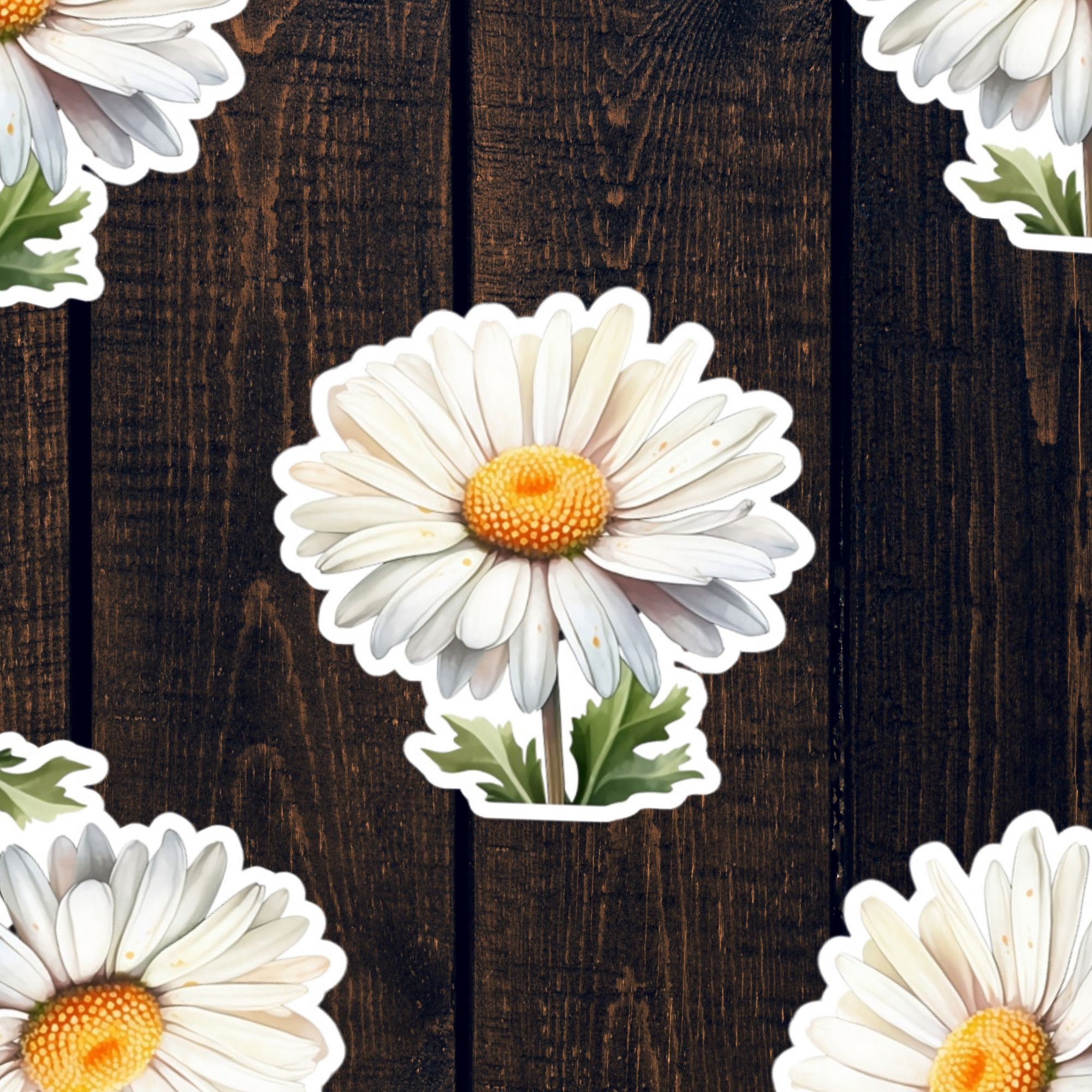 April Birth Flower Sticker Watercolor Daisy Birth Month - Etsy