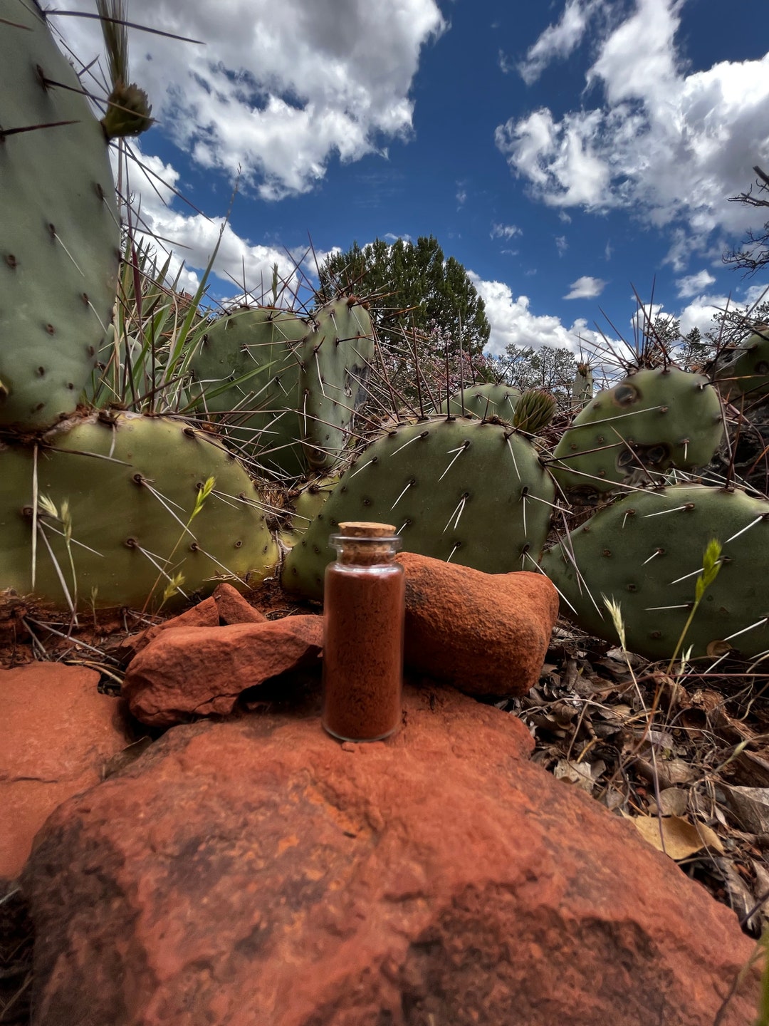 Sedona Vortex Sand, Cathedral Rock Vortex, Raw, Unwashed Sedona Dirt ...