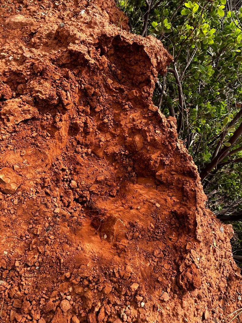 Sedona Vortex Sand, Cathedral Rock Vortex, Raw, Unwashed Sedona Dirt ...