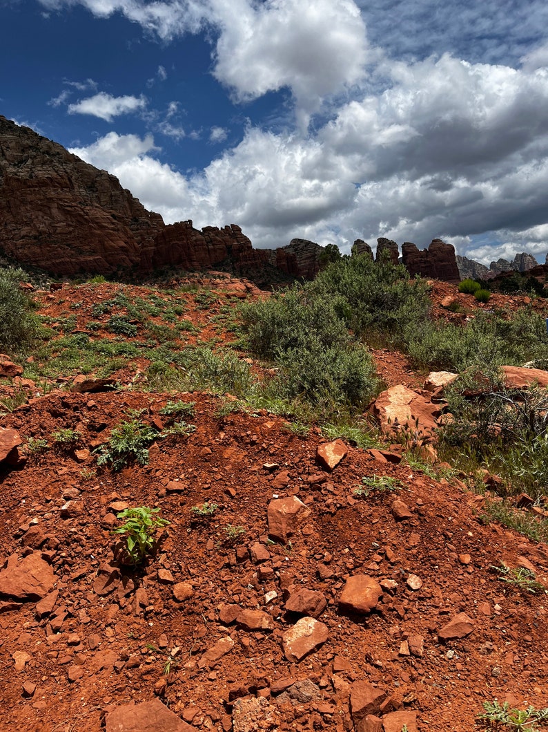Sedona Vortex Sand Cathedral Rock Vortex Raw Unwashed - Etsy