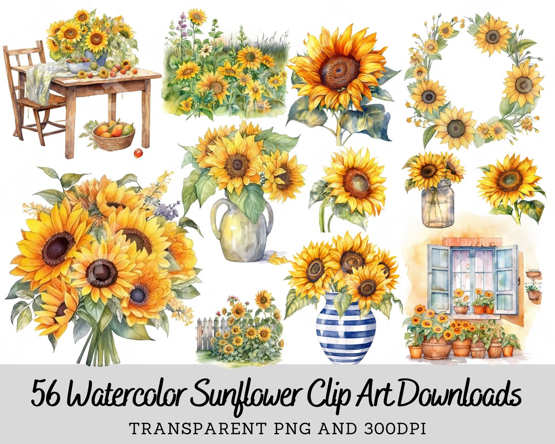 56 Sunflower Clipart Bundle, Watercolor Sunflower Clipart, Digital ...
