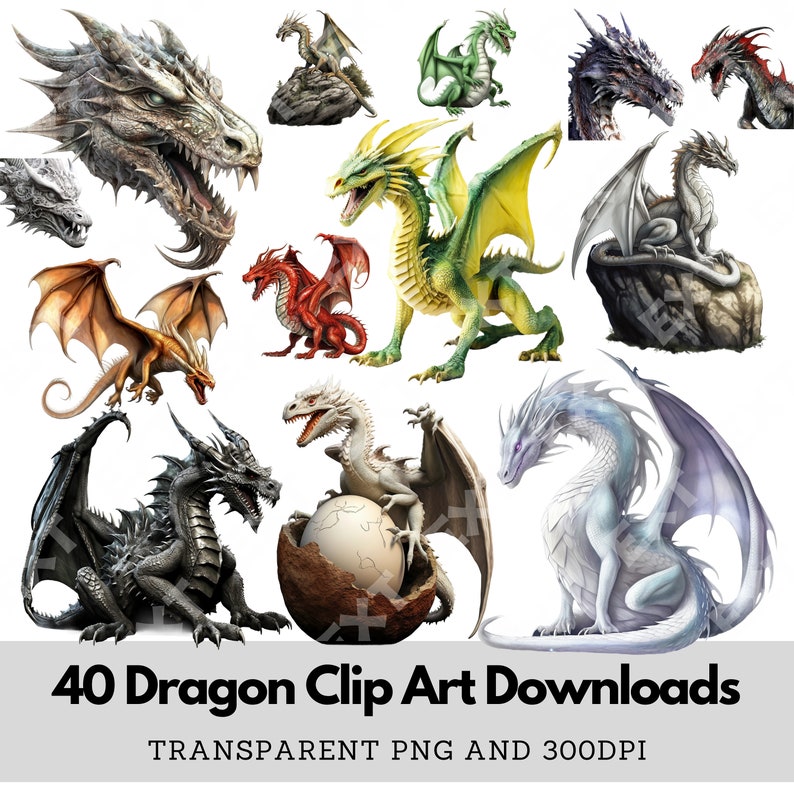 Mythical Clipart Dragons Bundle, Digital Clipart, Commercial Use ...