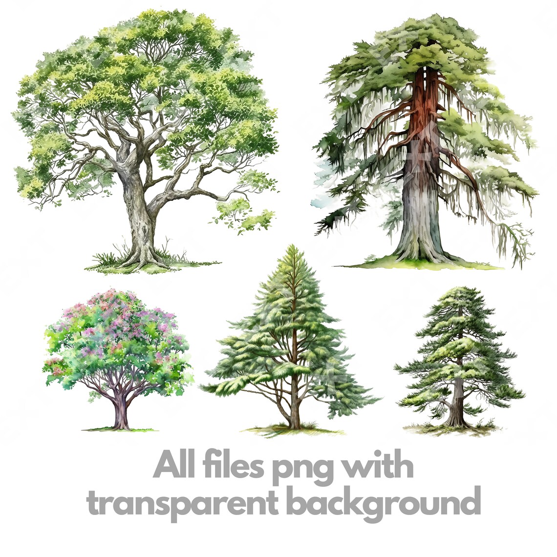 100 Spring Trees Clipart Bundle Watercolour Clipart Digital - Etsy