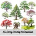 100 Spring Trees Clipart Bundle, Watercolour Clipart, Digital Clipart ...