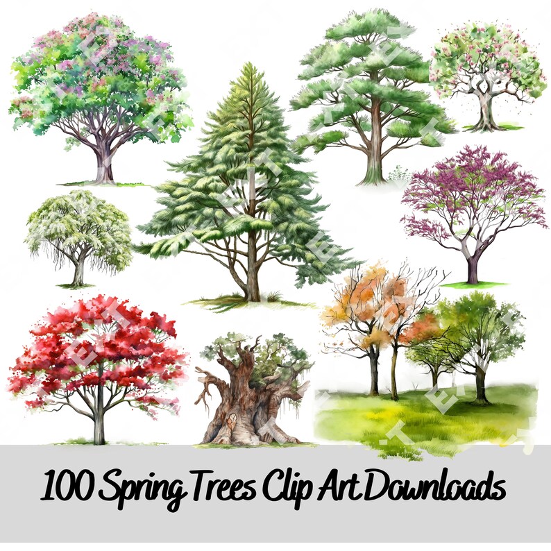 100 Spring Trees Clipart Bundle Watercolour Clipart Digital - Etsy