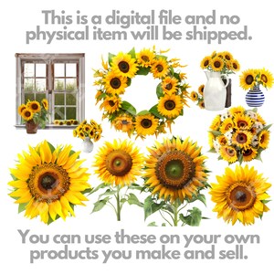 64 Sunflower Clipart Bundle, Sunflower Clipart, Digital Clipart Images ...