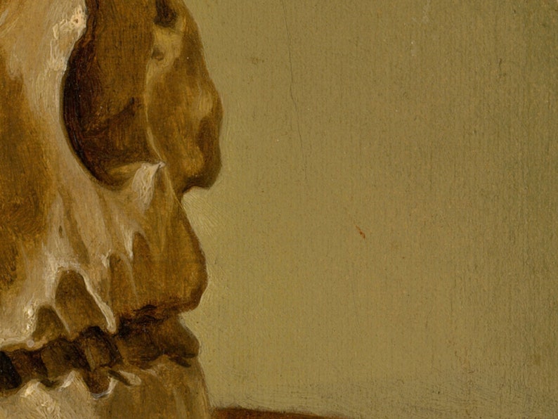 Skull and Forget-me-not PRINTABLE Art Print / Dark Academia Decor ...