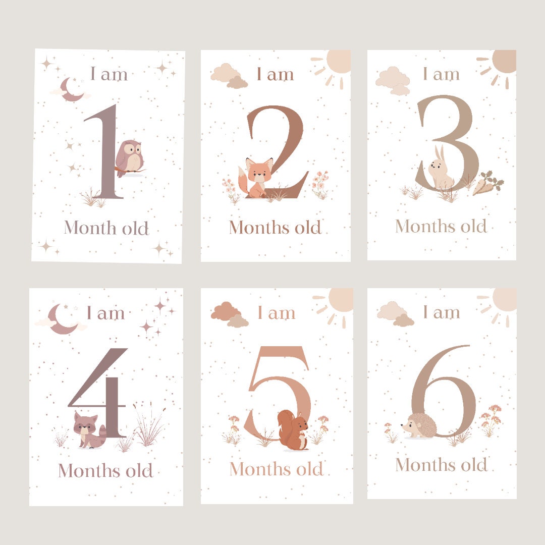 Milestone Cards 12 Monthly Cards Baby's First Year With Cute Animals - Etsy