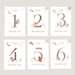 Milestone Cards 12 Monthly Cards Baby's First Year With Cute Animals - Etsy