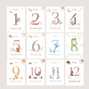 Milestone Cards 12 Monthly Cards Baby's First Year With Cute Animals - Etsy