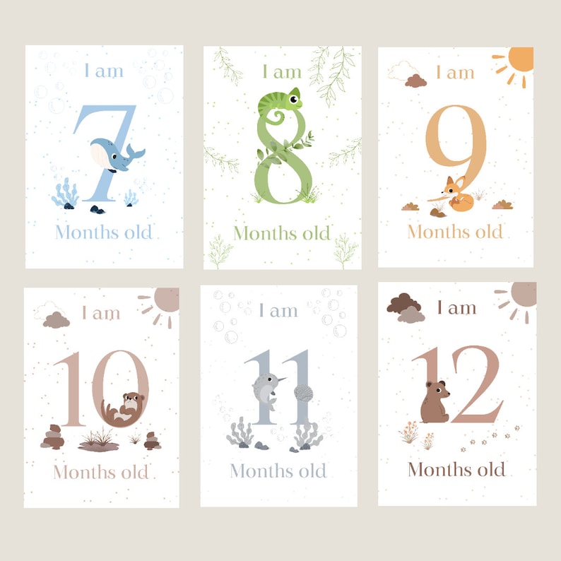 Milestone Cards 12 Monthly Cards Baby's First Year With Cute Animals - Etsy