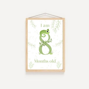 Milestone Cards 12 Monthly Cards Baby's First Year With Cute Animals - Etsy