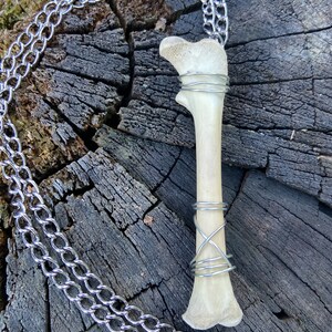 Possum Bone Wire-wrapped Necklace - Etsy