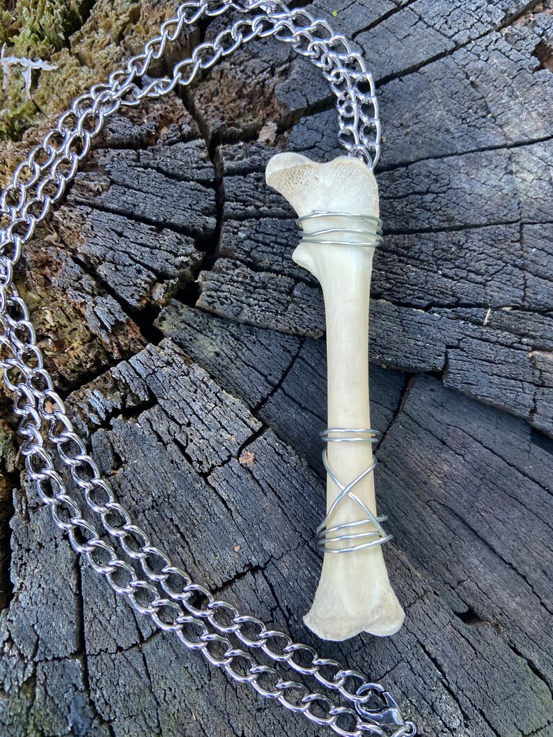 Possum Bone Wire-wrapped Necklace - Etsy