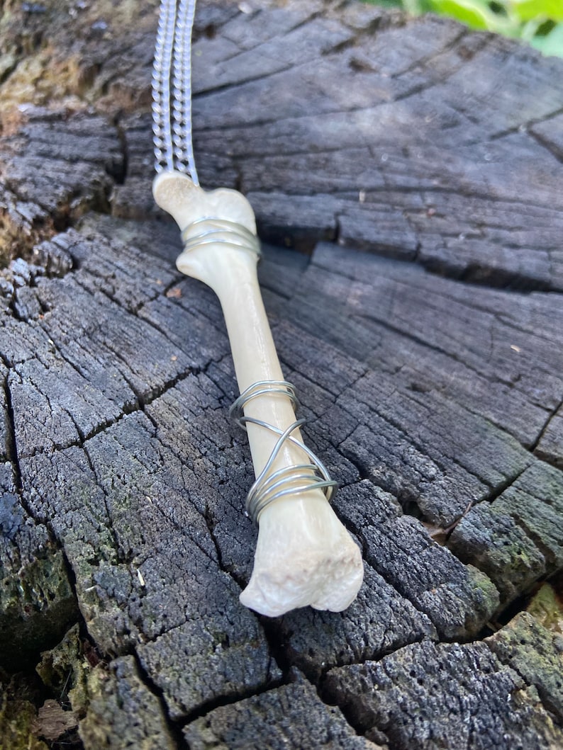 Possum Bone Wire-wrapped Necklace - Etsy