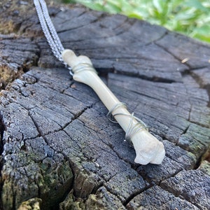 Possum Bone Wire-wrapped Necklace - Etsy