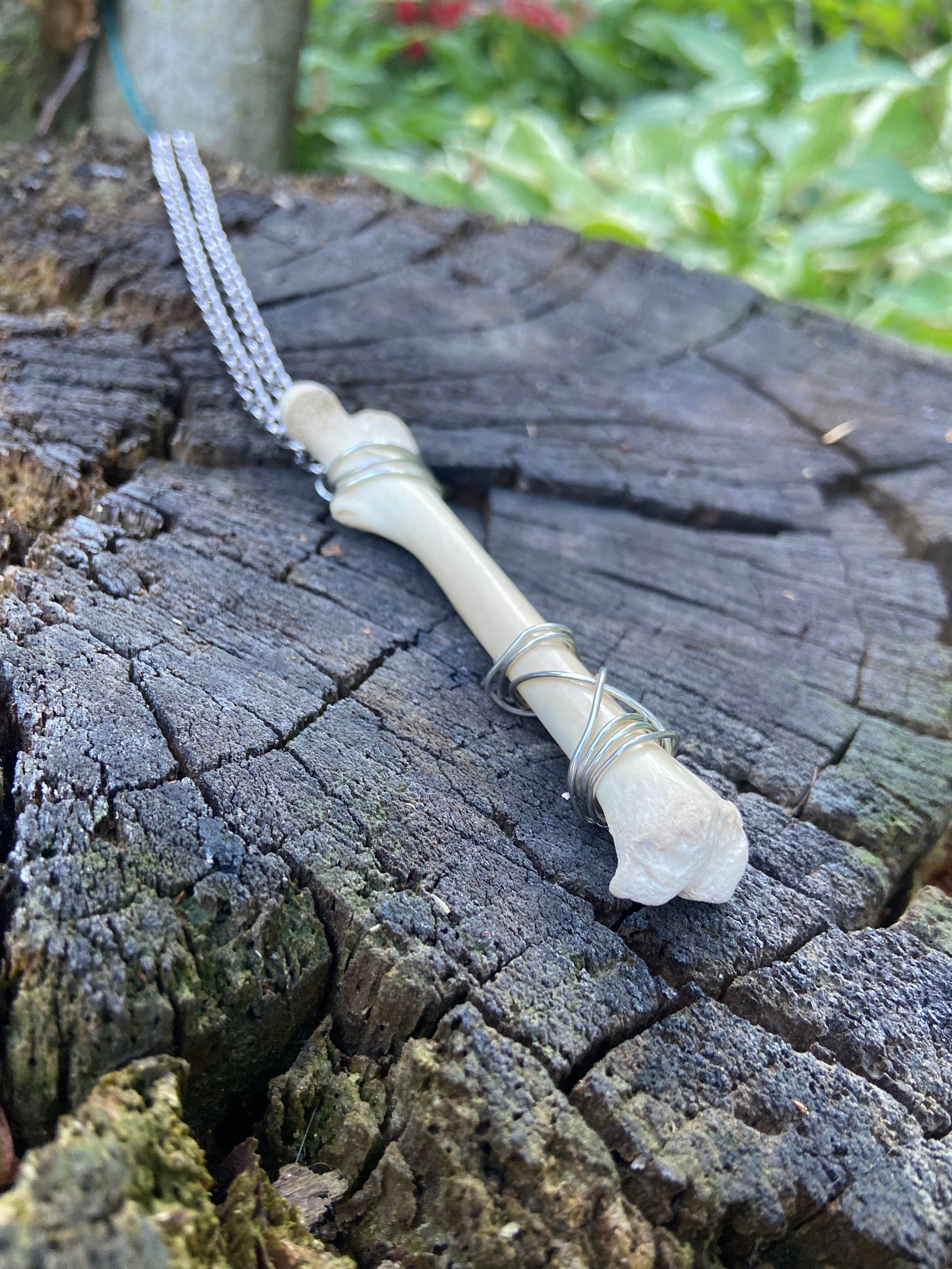 Possum Bone Wire-wrapped Necklace - Etsy