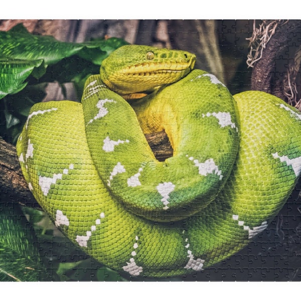 Jigsaw Puzzle 1000 - Etsy