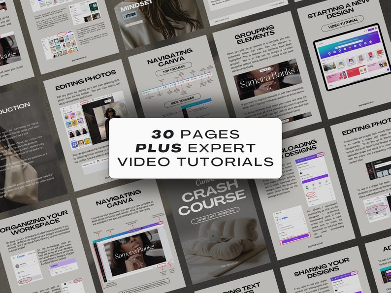 Canva Course MRR, Canva Guide PLR, Canva Basics, Done for You Plr Mrr, Resell Rights Product ...