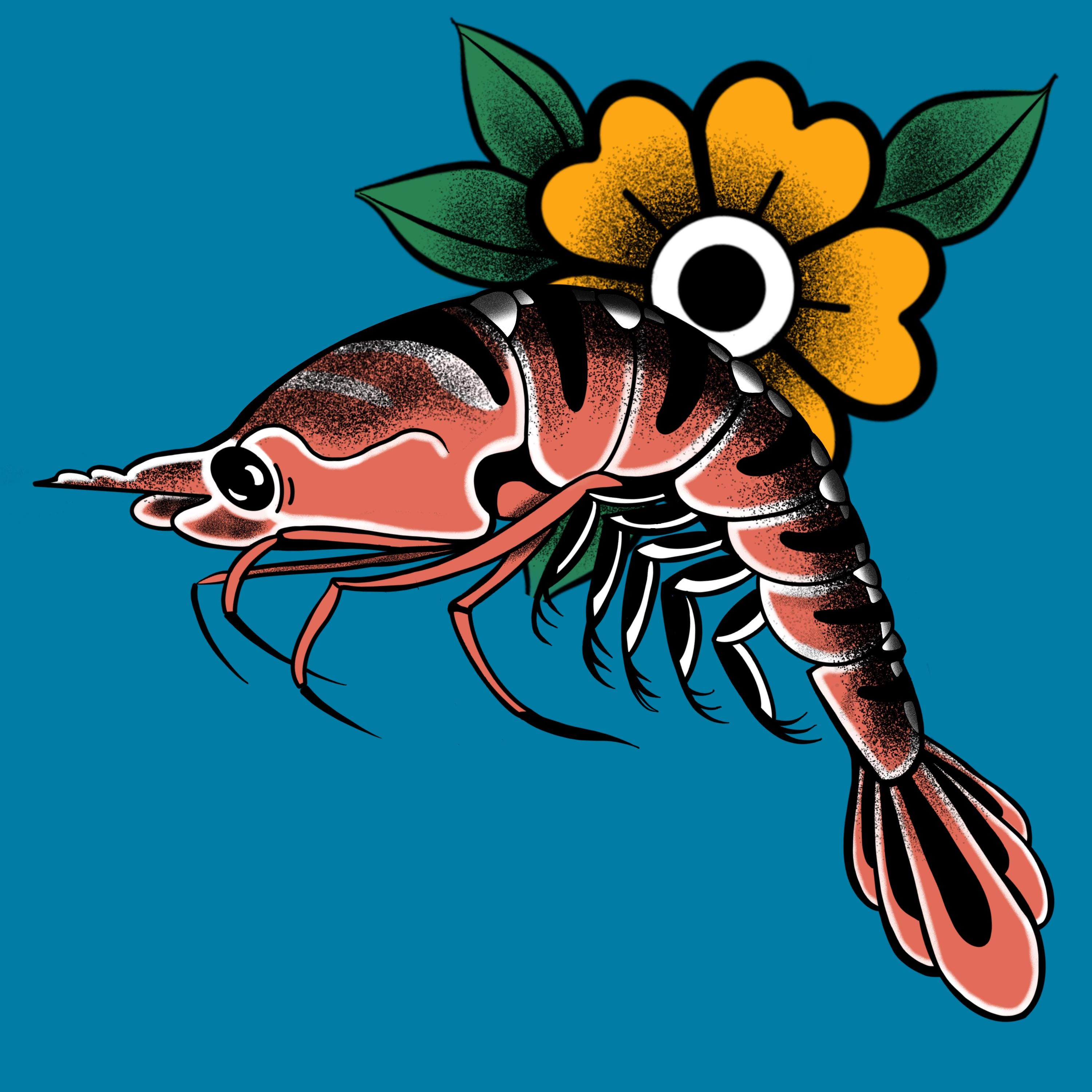 American Traditional Prawn Tattoo Stencil Classic Nautical Flash Design ...