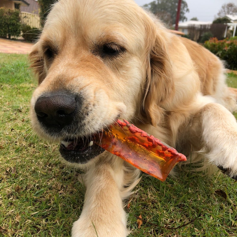 Marrow Bone Chews - Etsy Australia