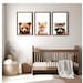 WOODLAND NURSERY FRAMES, Nursery Wall Art Baby Woodland Animals, Forest ...