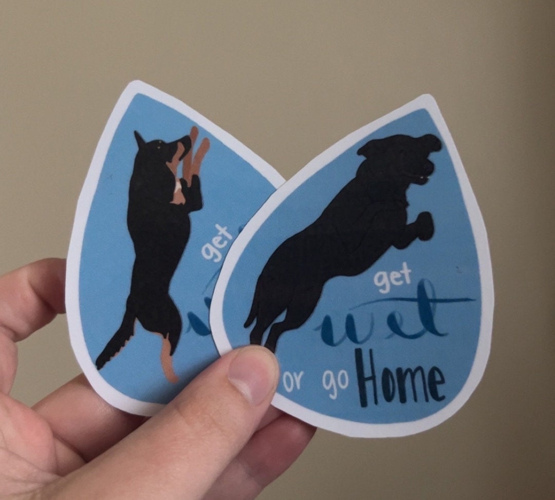 Dock Diving Sticker, Dog Sticker, Dog Sport, Sport Dog Sticker, Sticker ...