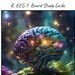 R. EEG T. Board Exam Study Guide - Etsy
