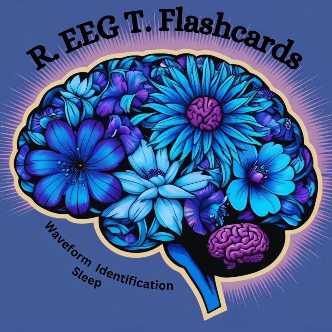 R. EEG T. Flashcards Waveform Identification Sleep *digital Download ...